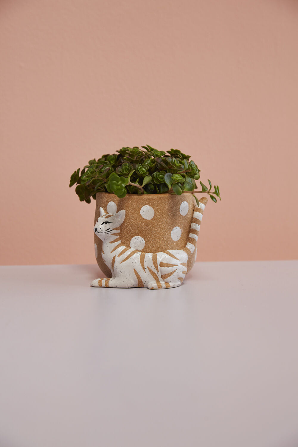 Pampered Cat Pot – Desert Sol