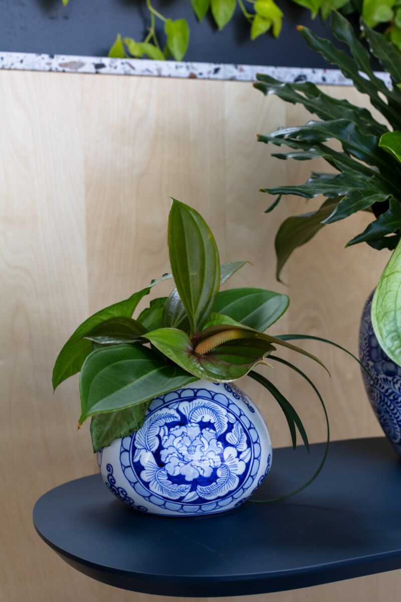 Eleanor Vase – Desert Sol
