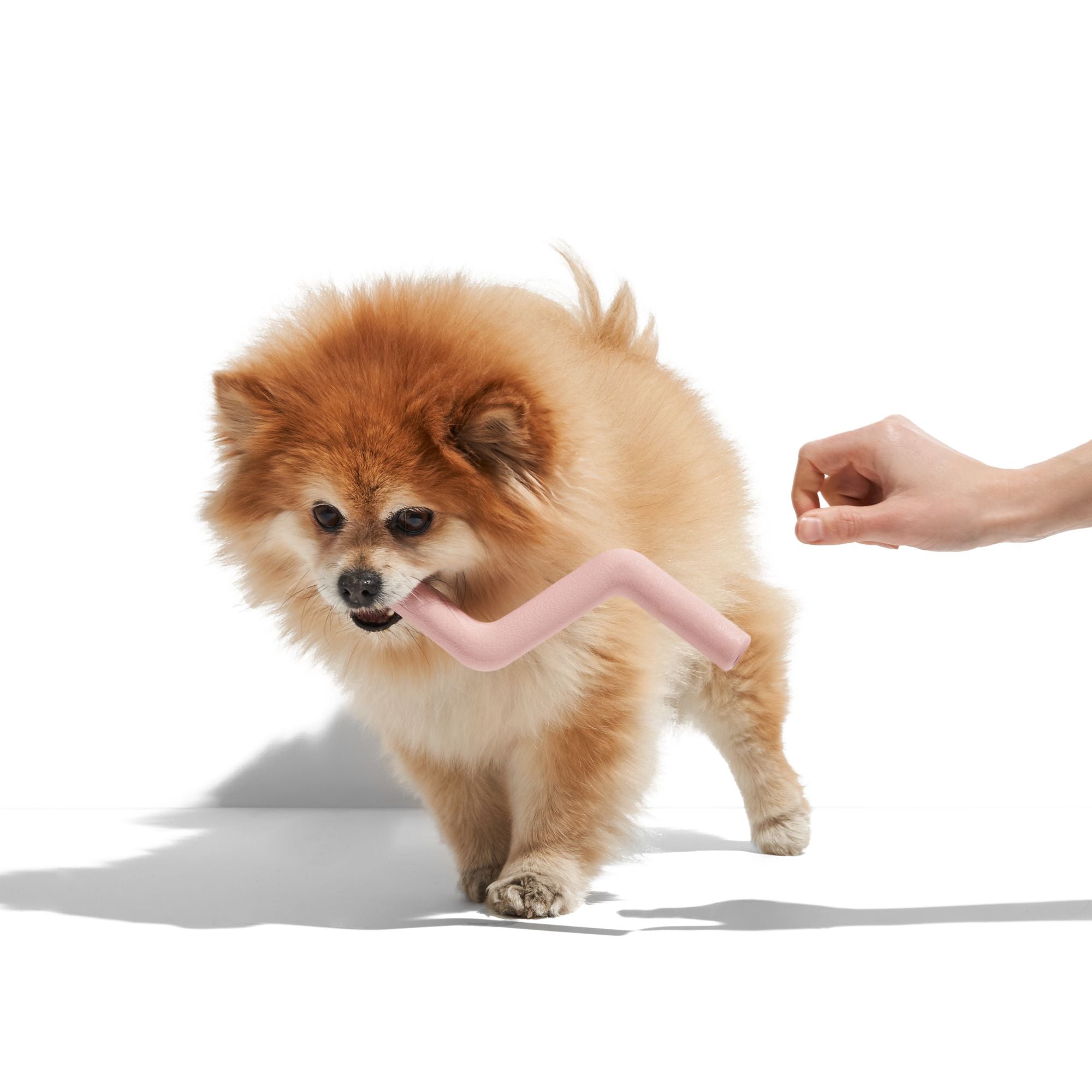 Bolt Bite Dog Toy – Desert Sol