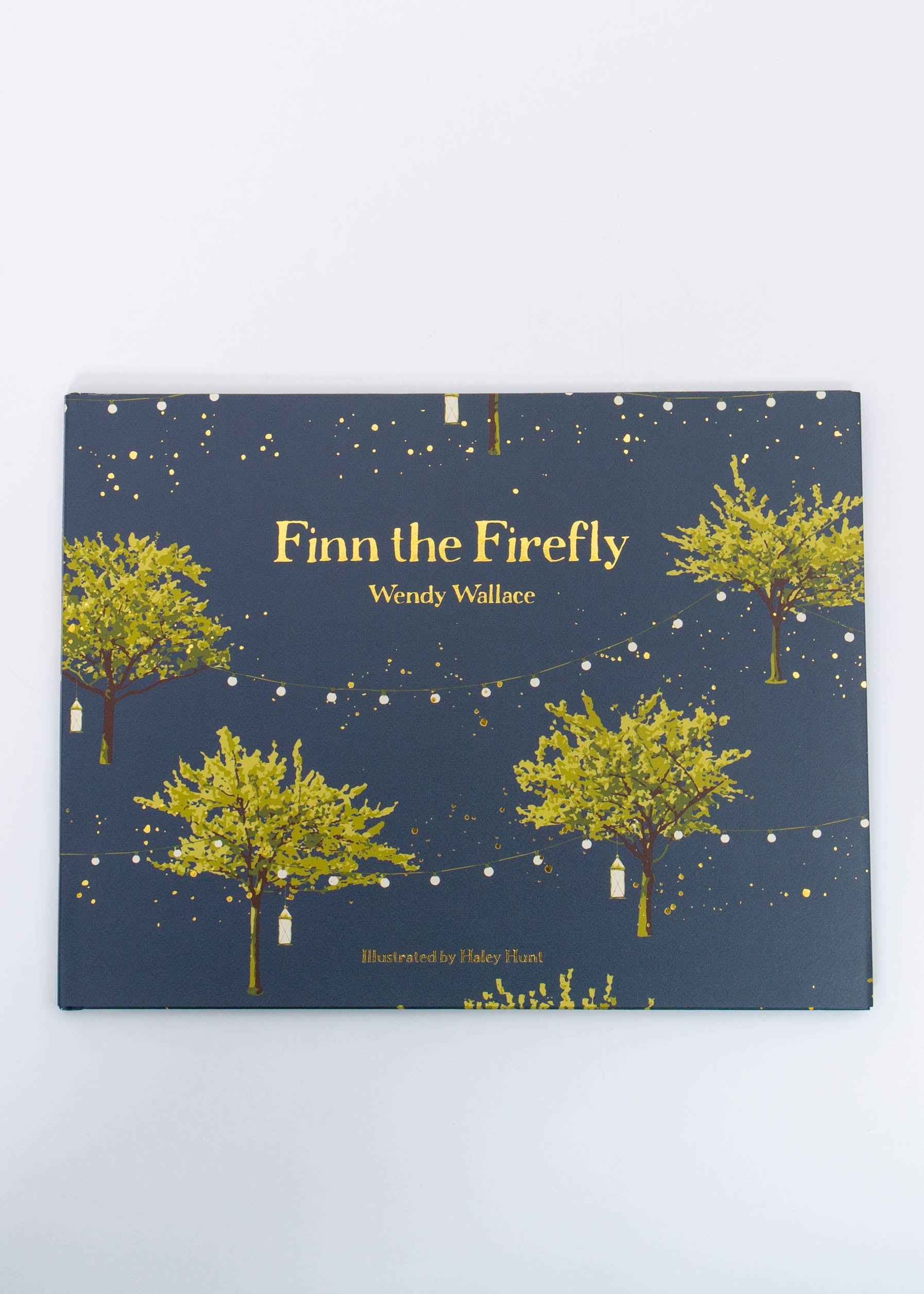 Finn the Firefly Book – Desert Sol