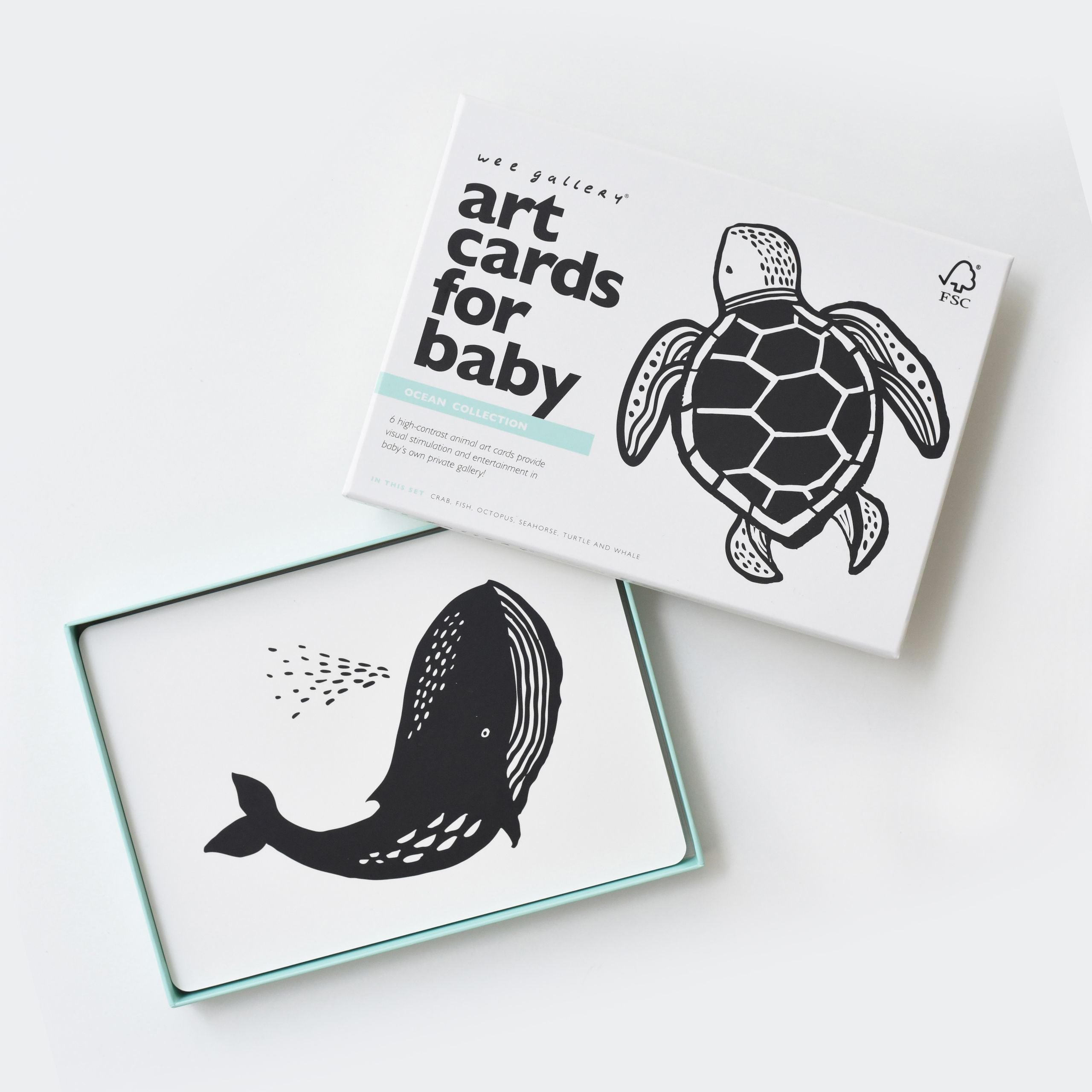 Ocean Art Cards – Desert Sol