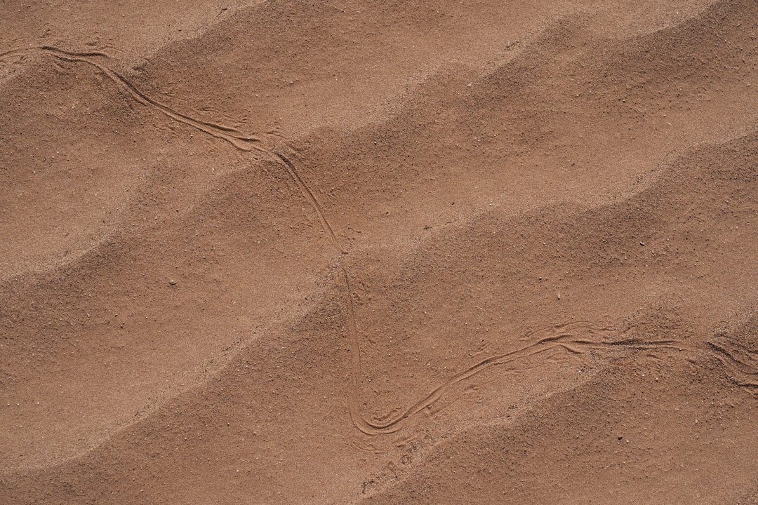 Vanilla Absolute Hand Cream – Desert Sol